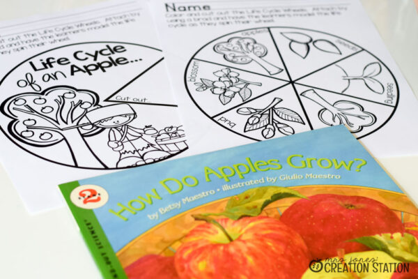 APPLE SCIENCE ACTIVITIES - Mrs. Jones Creation Station