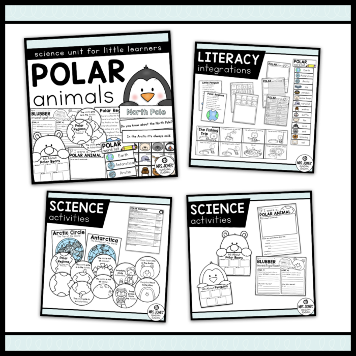 Polar Animals Science Unit | Arctic and Antarctic Animals