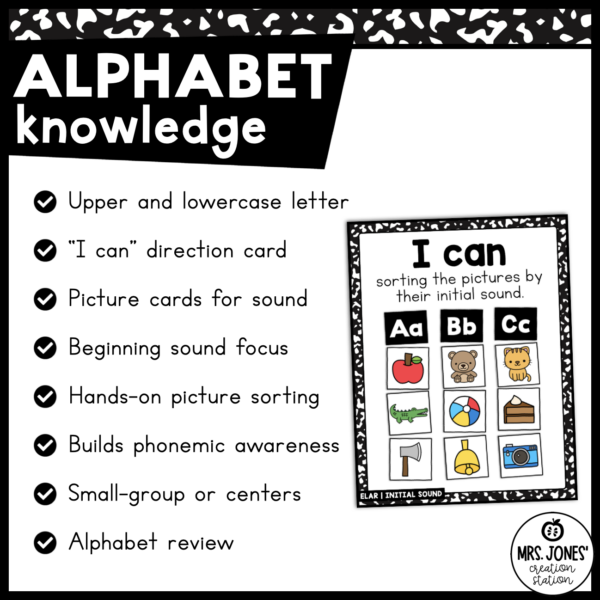 Alphabet Initial Sound Sorting Cards for Phonemic Awareness