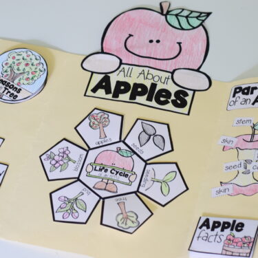 INTERACTIVE LAPBOOK BUNDLE - Mrs. Jones Creation Station