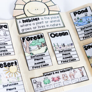 INTERACTIVE LAPBOOK BUNDLE - Mrs. Jones Creation Station