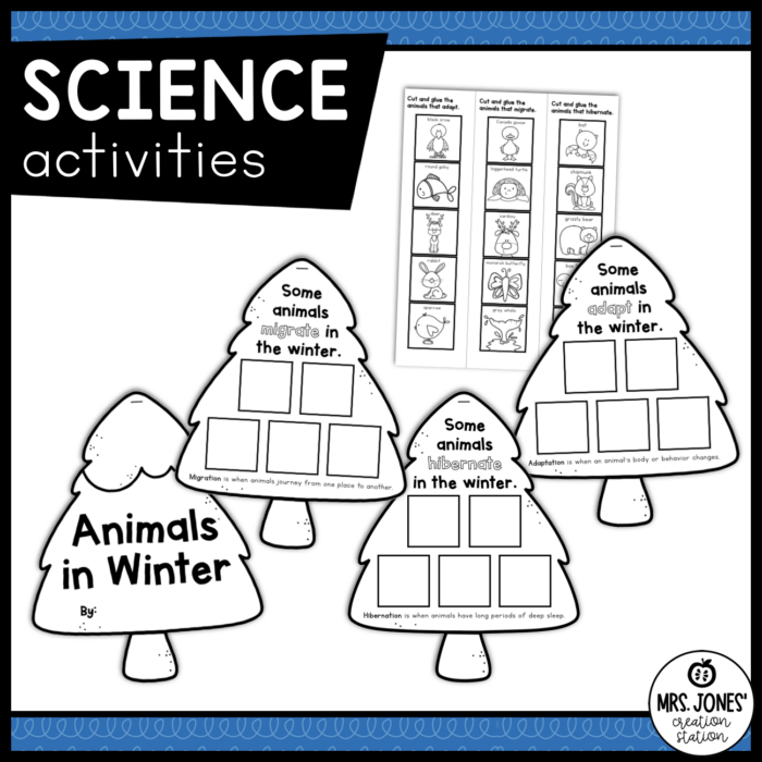 WINTER ANIMALS SCIENCE UNIT - Mrs. Jones Creation Station