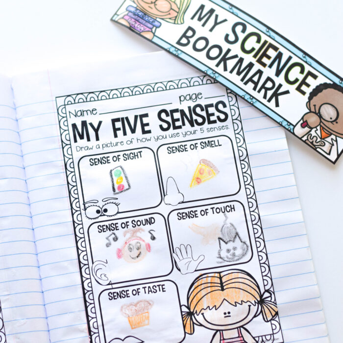 SCIENCE NOTEBOOK PRINTABLES - Mrs. Jones Creation Station