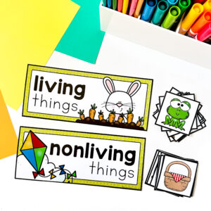LOOK CLOSER- A SEQUENCING ACTIVITY - Mrs. Jones Creation Station