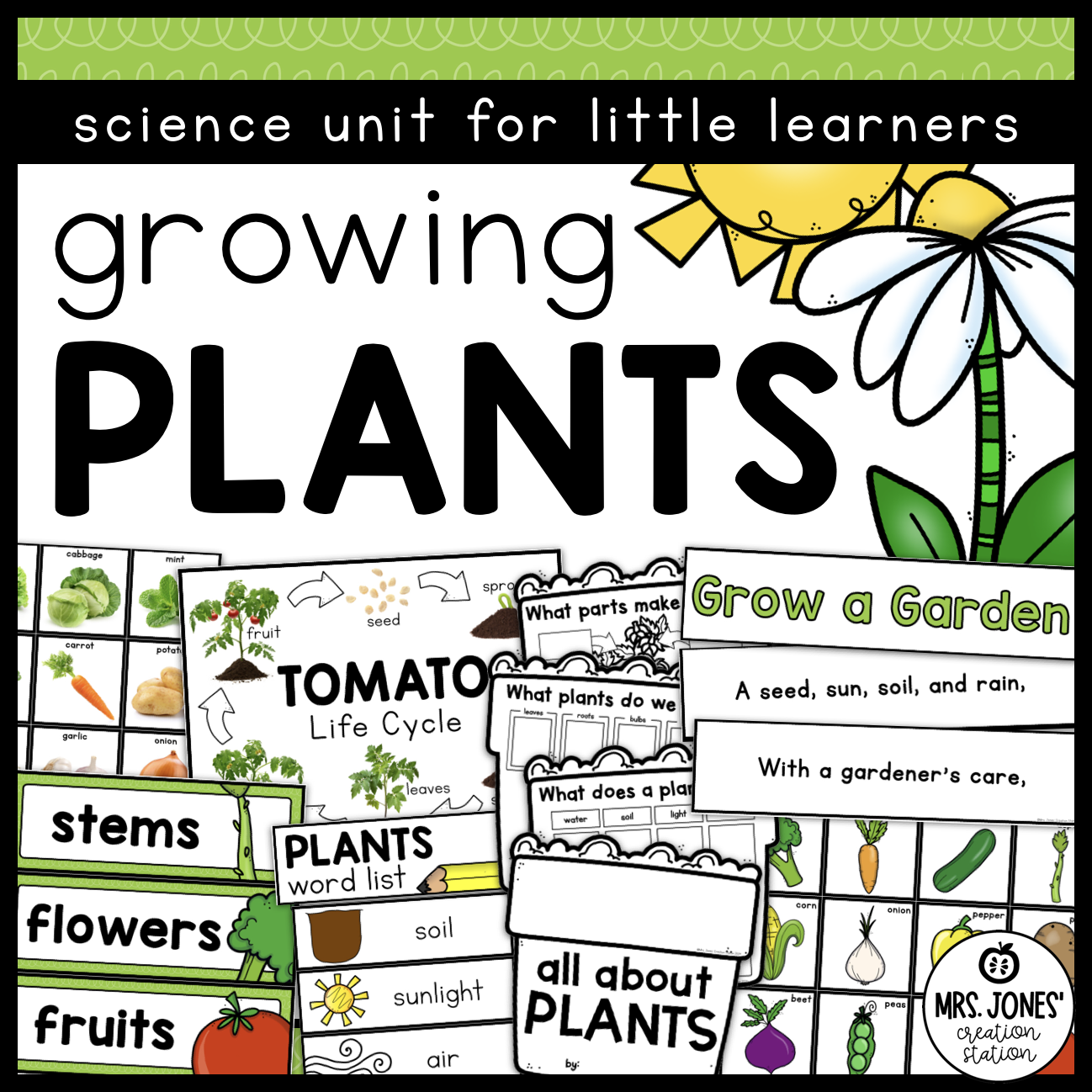 PLANTS SCIENCE UNIT - Mrs. Jones Creation Station