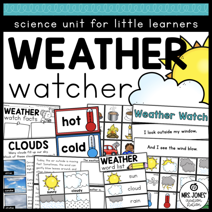 20 WEATHER BOOKS - Mrs. Jones Creation Station