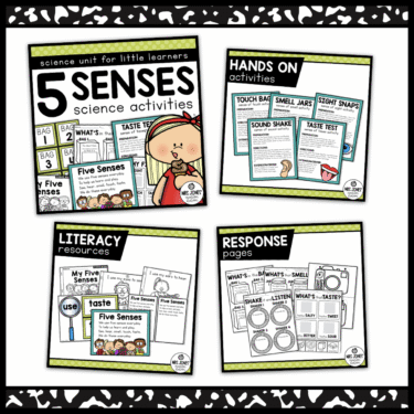 Introduction to Science Bundle | Science Lessons and Activities