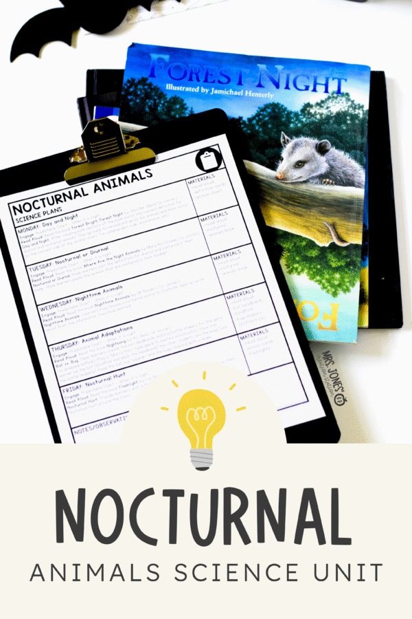 Nocturnal Animals Science Activities and Lesson Plans