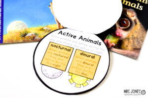 Nocturnal Animals Science Activities and Lesson Plans