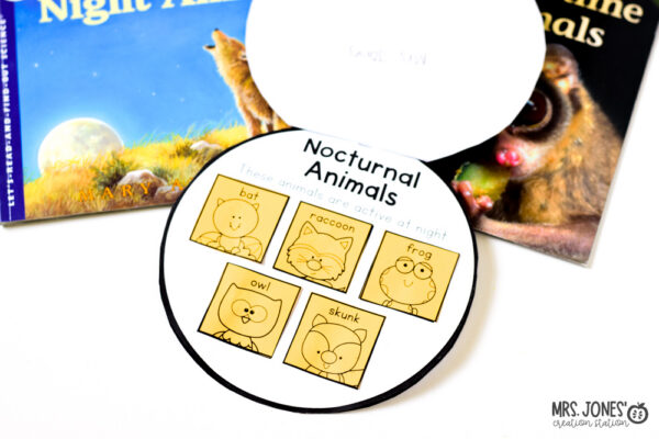Nocturnal Animals Science Activities and Lesson Plans