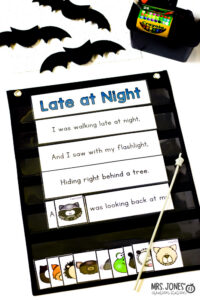 Nocturnal Animals Science Activities and Lesson Plans