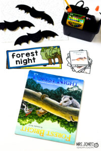 Nocturnal Animals Science Activities and Lesson Plans