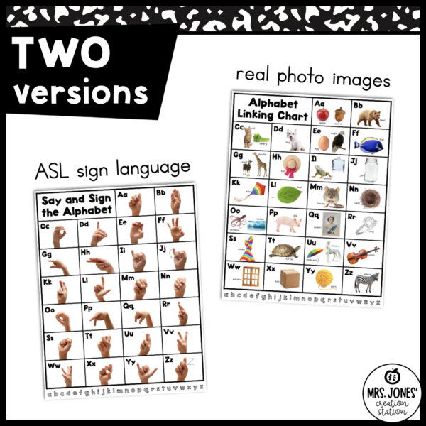 Alphabet Linking Chart and Cards | Letter Recognition Tool